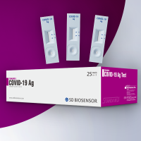 Inicio - Grupo Corporinter